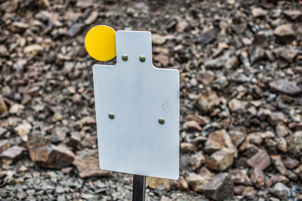 Hostage Target – Thor Targets